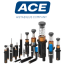 ACE Controls - Instrumart